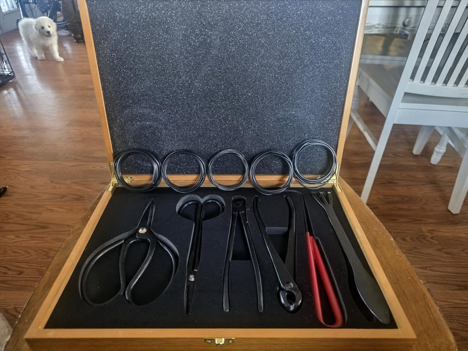 12 Best Bonsai Tool Kits (July 2026) Reviewed for Every Skill Level