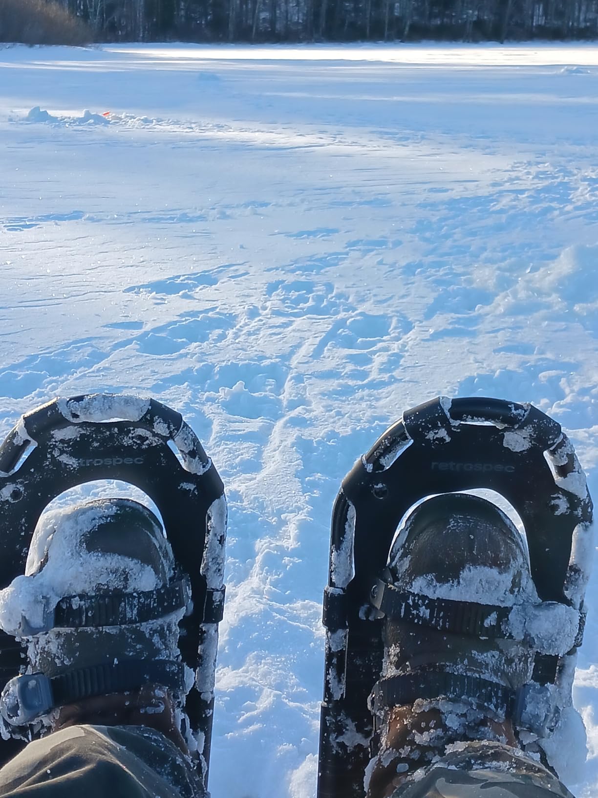 10 Best Snowshoes (June 2026) Tested and Reviewed