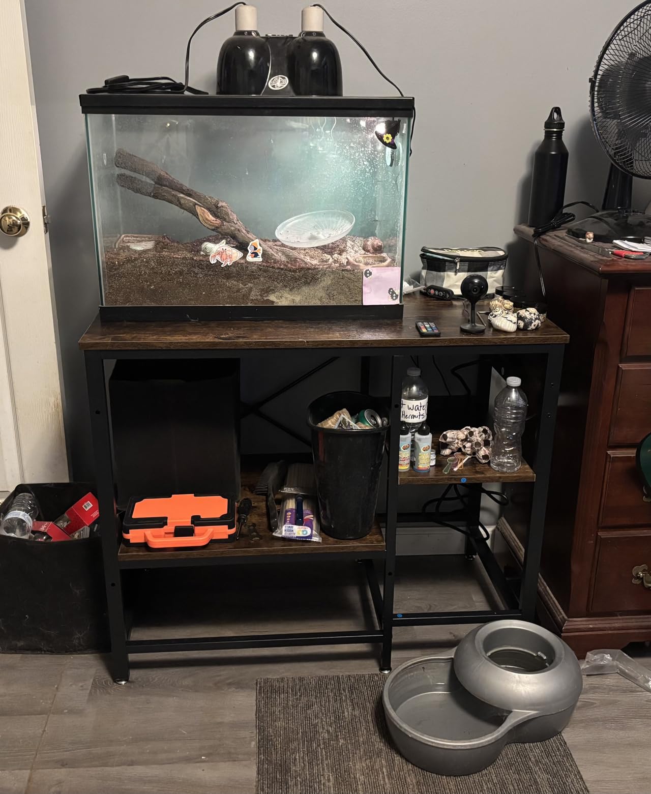 12 Best Aquarium Stands (July 2026) Reviews and Buying Guide