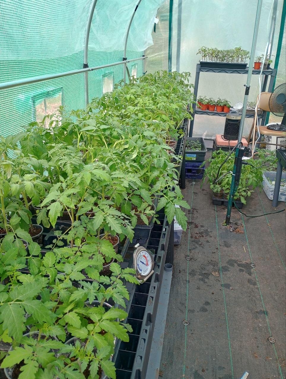 10 Best Walk in Greenhouses (July 2026) Tested and Ranked