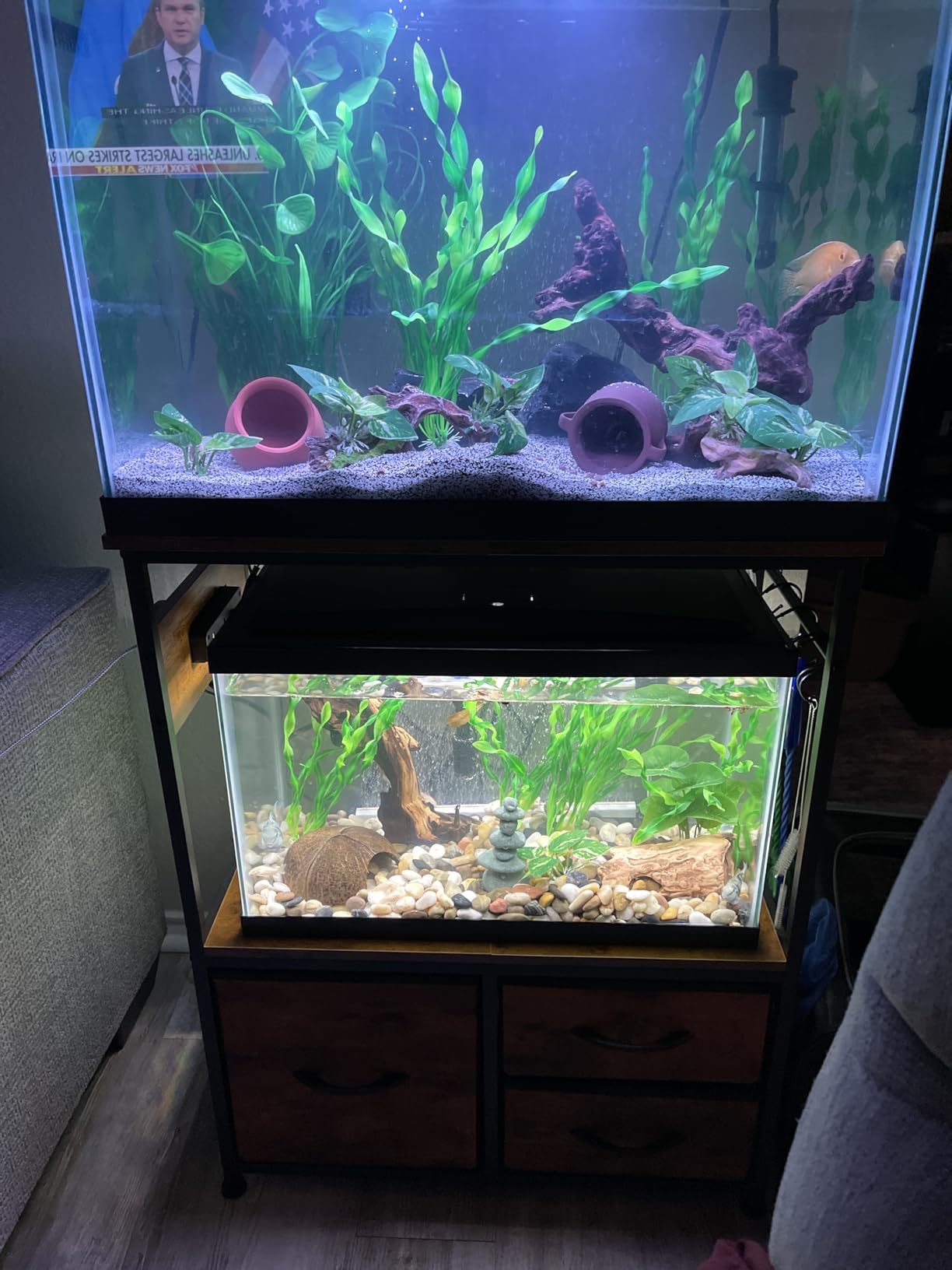 12 Best Aquarium Stands (July 2026) Reviews and Buying Guide