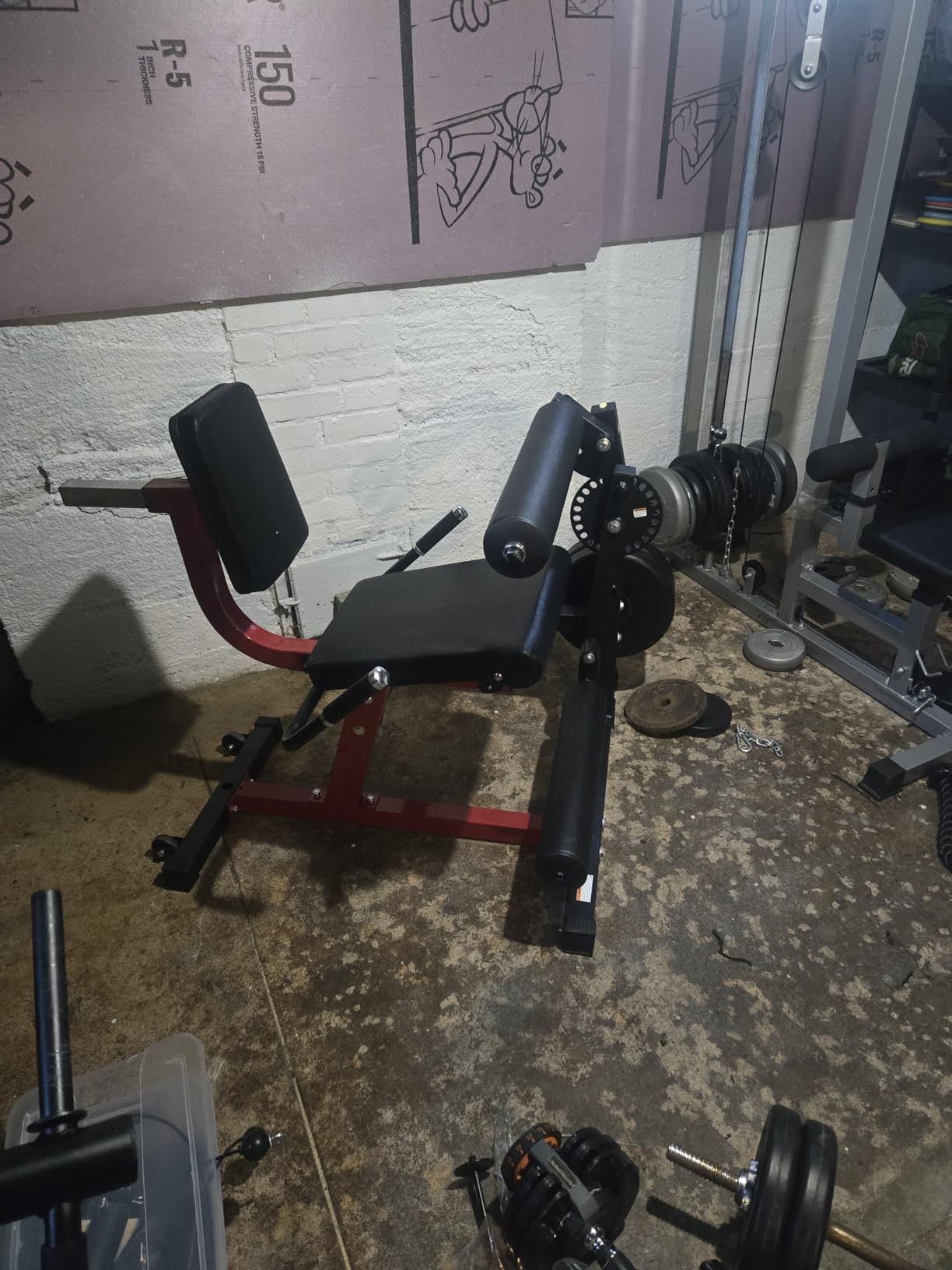 13 Best Leg Curl Machines (June 2026) Expert Picks